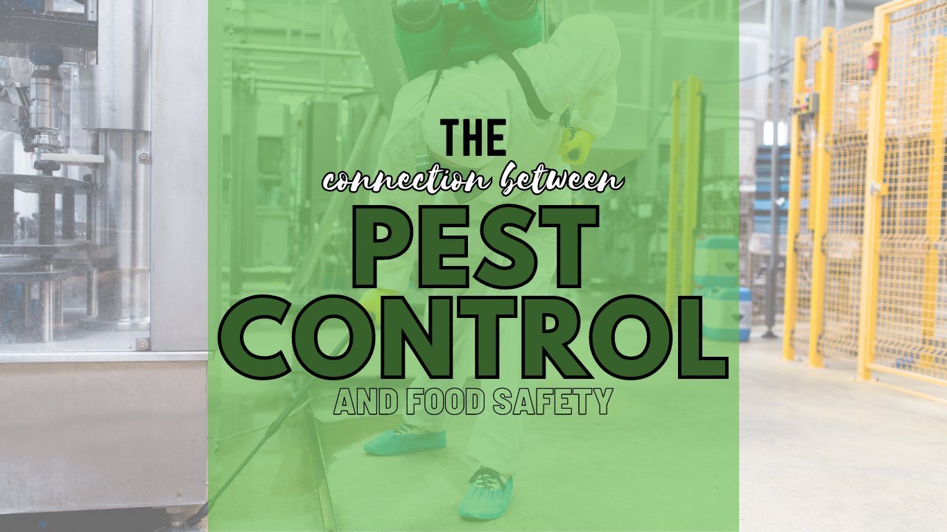 The Connection Between Pest Control and Food Safety - Lookout Pest Control