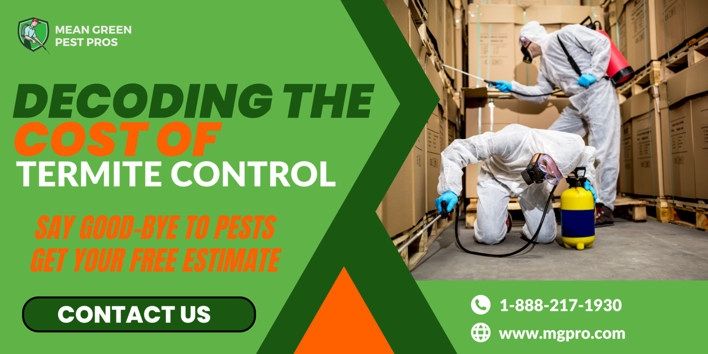 An Overview: Decoding the Cost of Termite Control - Lookout Pest Control